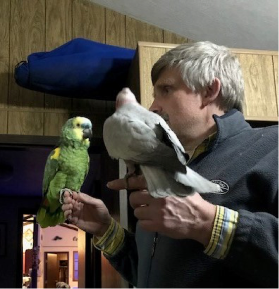 Curing the COVID Blues with a Blue-Fronted Amazon (and Friend!) | Mickaboo